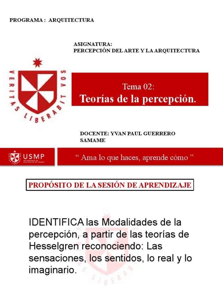 S2 Percep Aa | PDF | Percepción | Experiencia