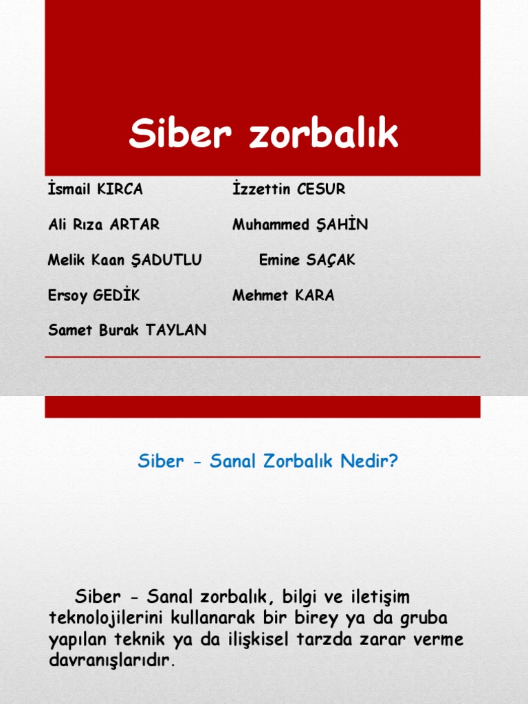 Siber Zorbalik | PDF
