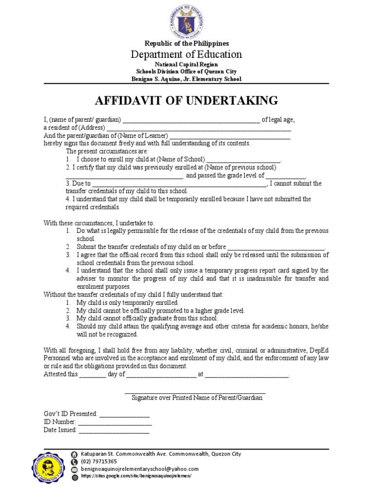 Affidavit of Undertaking | PDF | Government | Justice