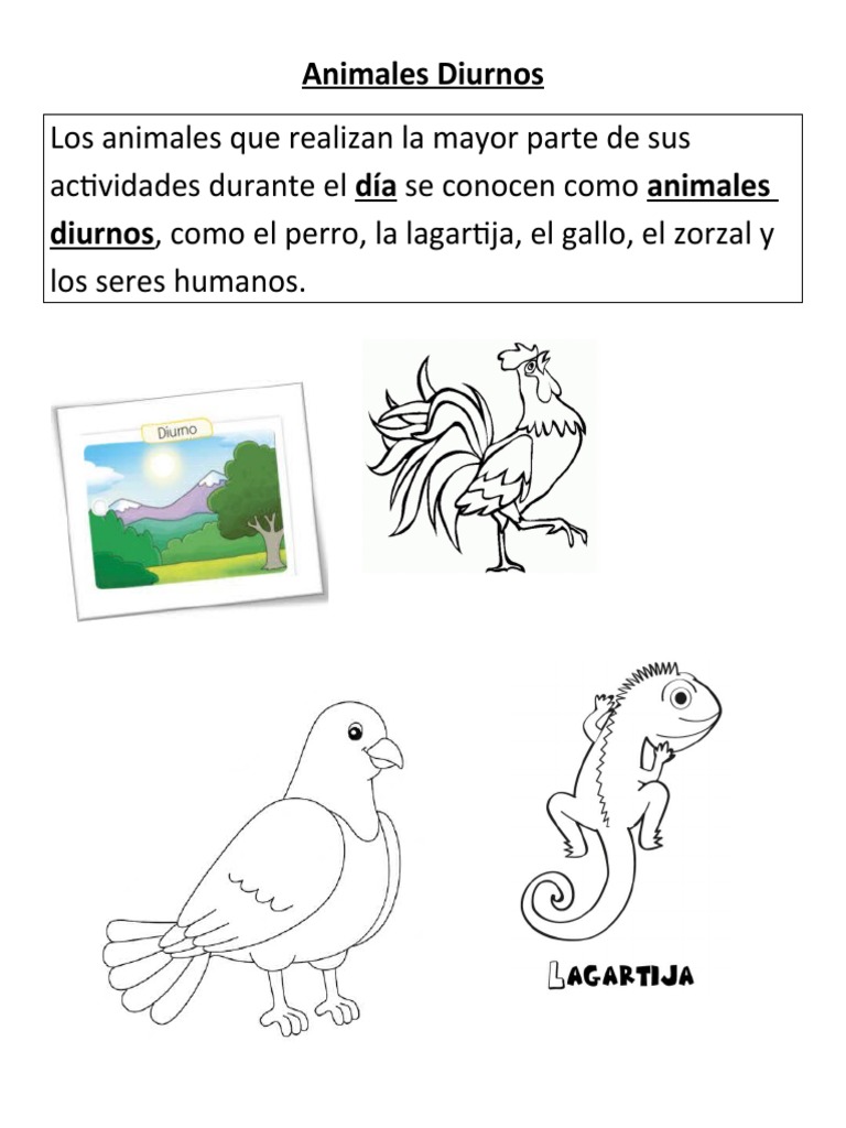Animales Diurnos y Nocturnos | PDF