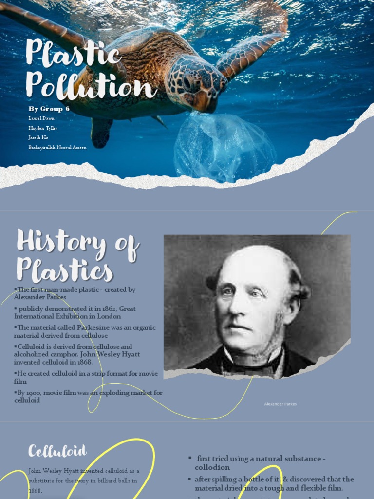 Plastic Pollution | PDF | Plastic | Reuse