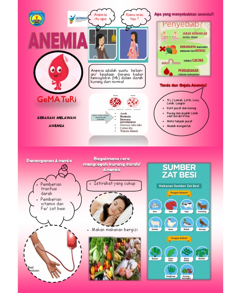 Leaflet of Anemia | PDF