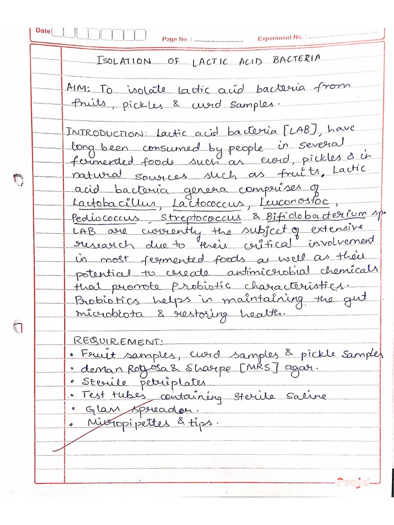 Isolation of Lactic Acid Bacteria | PDF