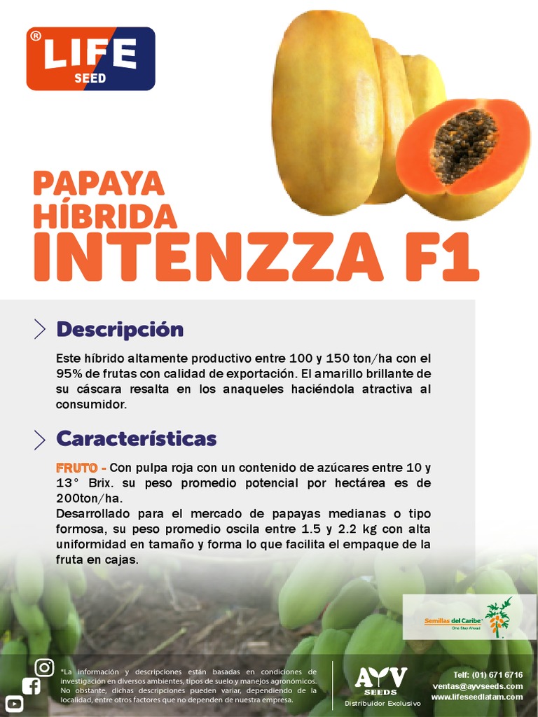 Ficha Tecnica Papaya Intenzza Life Seed | PDF