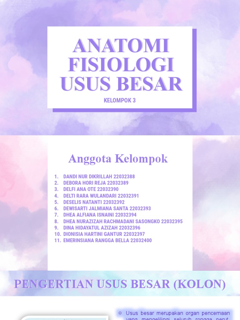 Anatomi dan Fisiologi Usus Besar | PDF