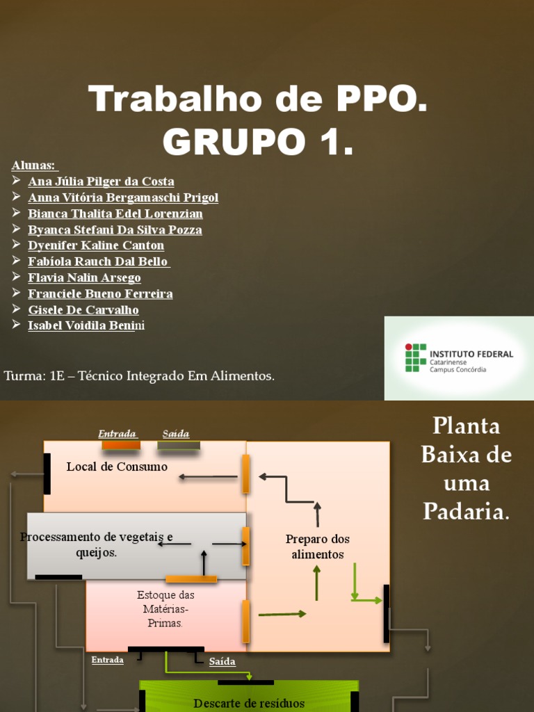 Trabalho PPO GRUPO 1. | PDF