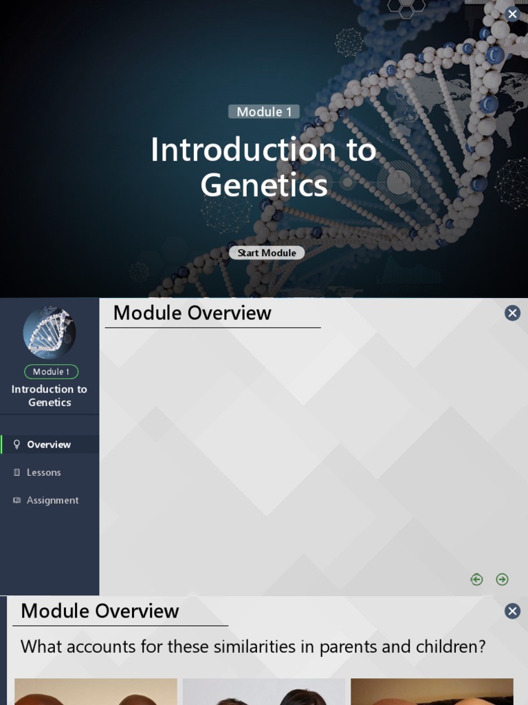 Understanding Mendelian Genetics | PDF | Dominance (Genetics) | Allele