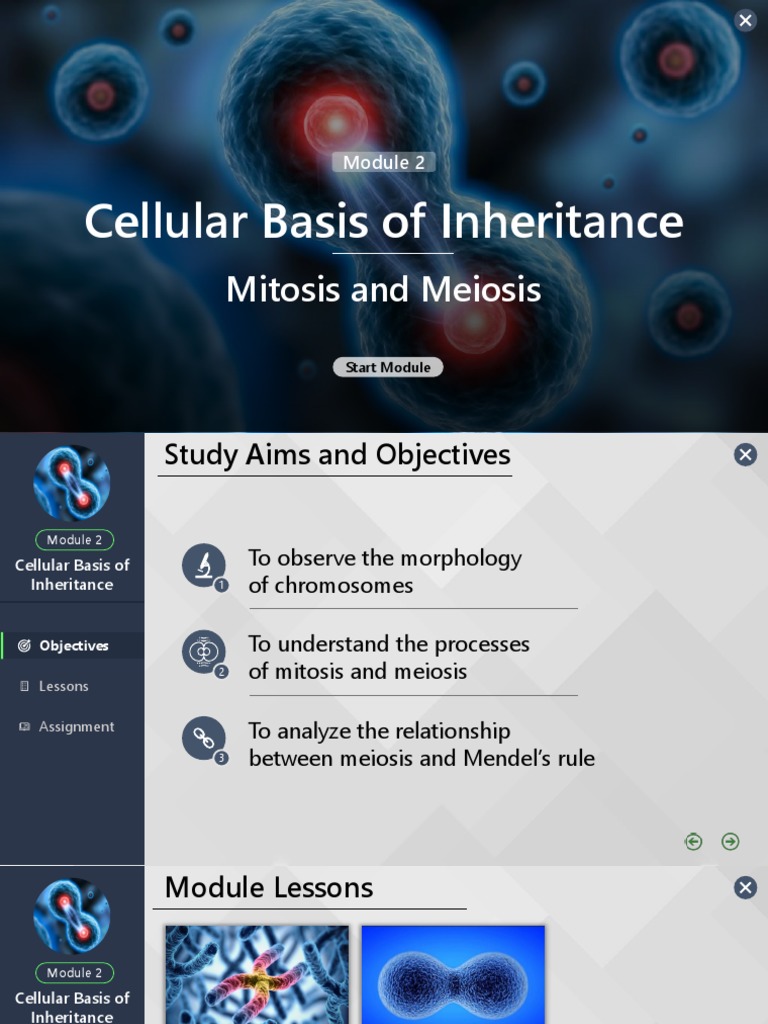 Module 2 - Cellular Basis of Inheritance | PDF | Meiosis | Mitosis Module 2 - Cellular Basis of Inheritance | PDF | Meiosis | Mitosis