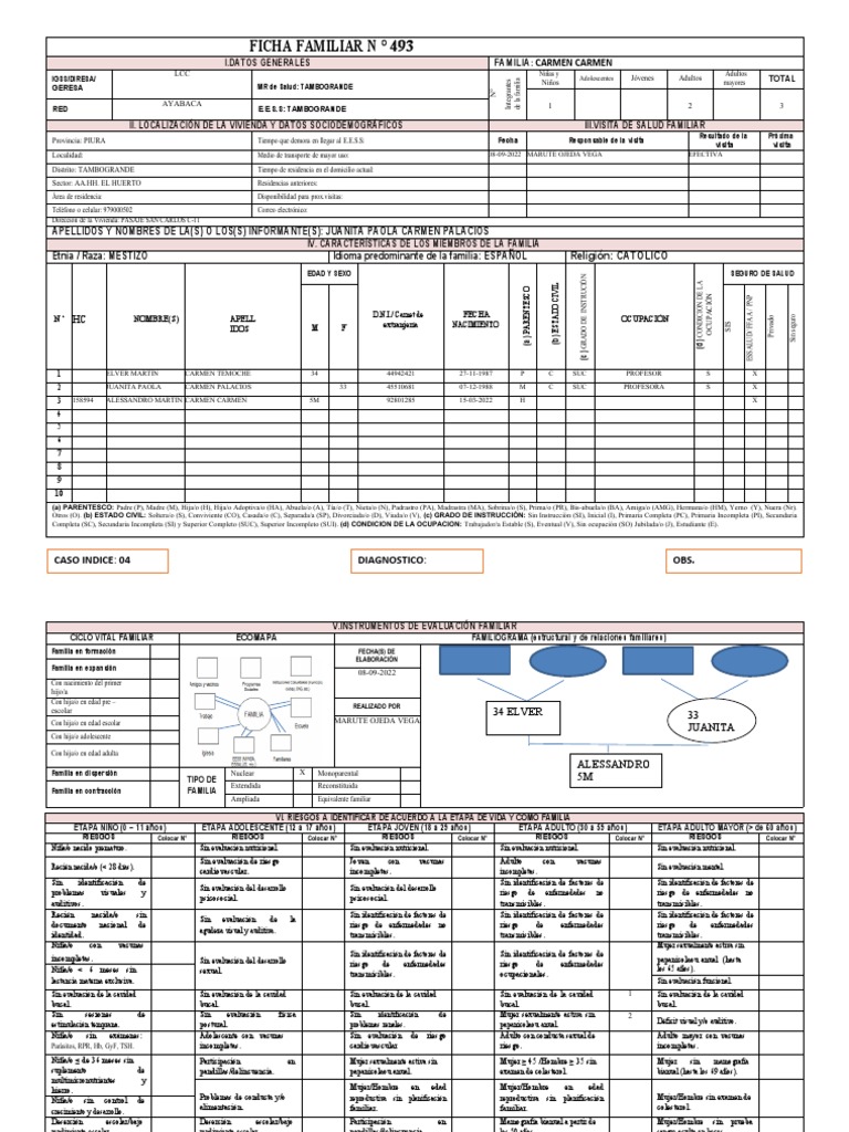 Ficha Familiar Digital 2022-3 | PDF | Adultos