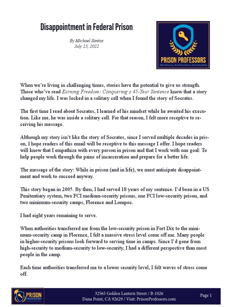 Disappointment in Prison | PDF | Prison | Crimes