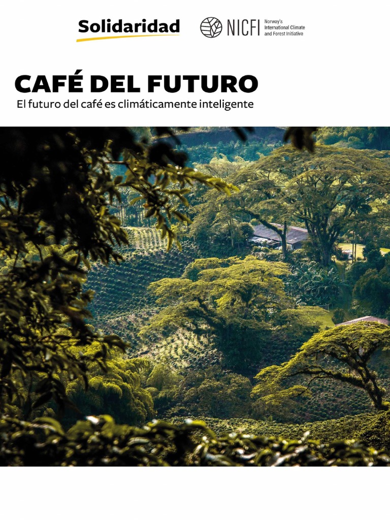 Proyecto Café Del Futuro - Lanzamiento | PDF | Reducción de emisiones por deforestación y ...