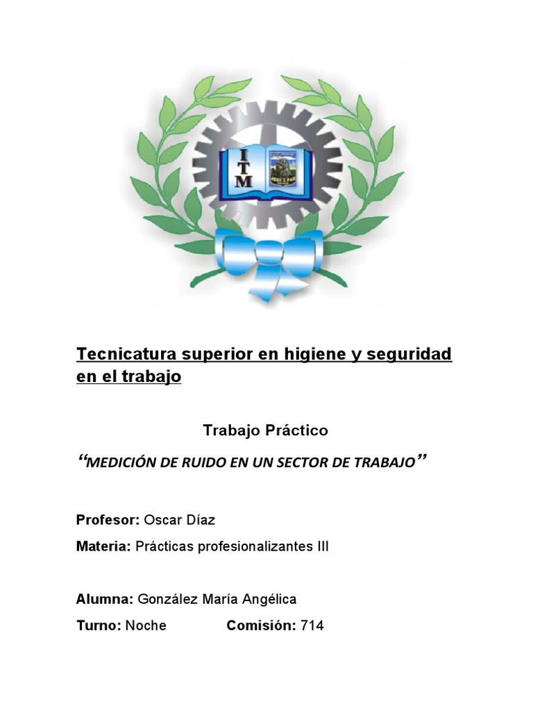 TP Medición de Ruido en Un Sector de Trabajo | PDF | Sonido | Acústica