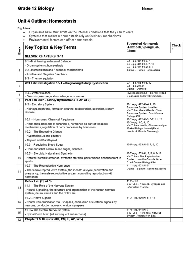 Grade 12 Biology Unit 4 Outline: Homeostasis: Name | PDF | Nervous ...