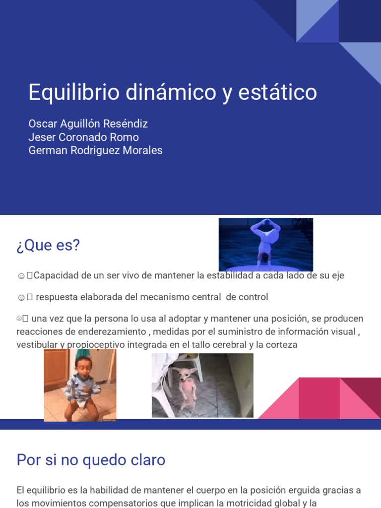 Equilibrio Dinámico y Estático | PDF | Fuerza | Anatomía humana