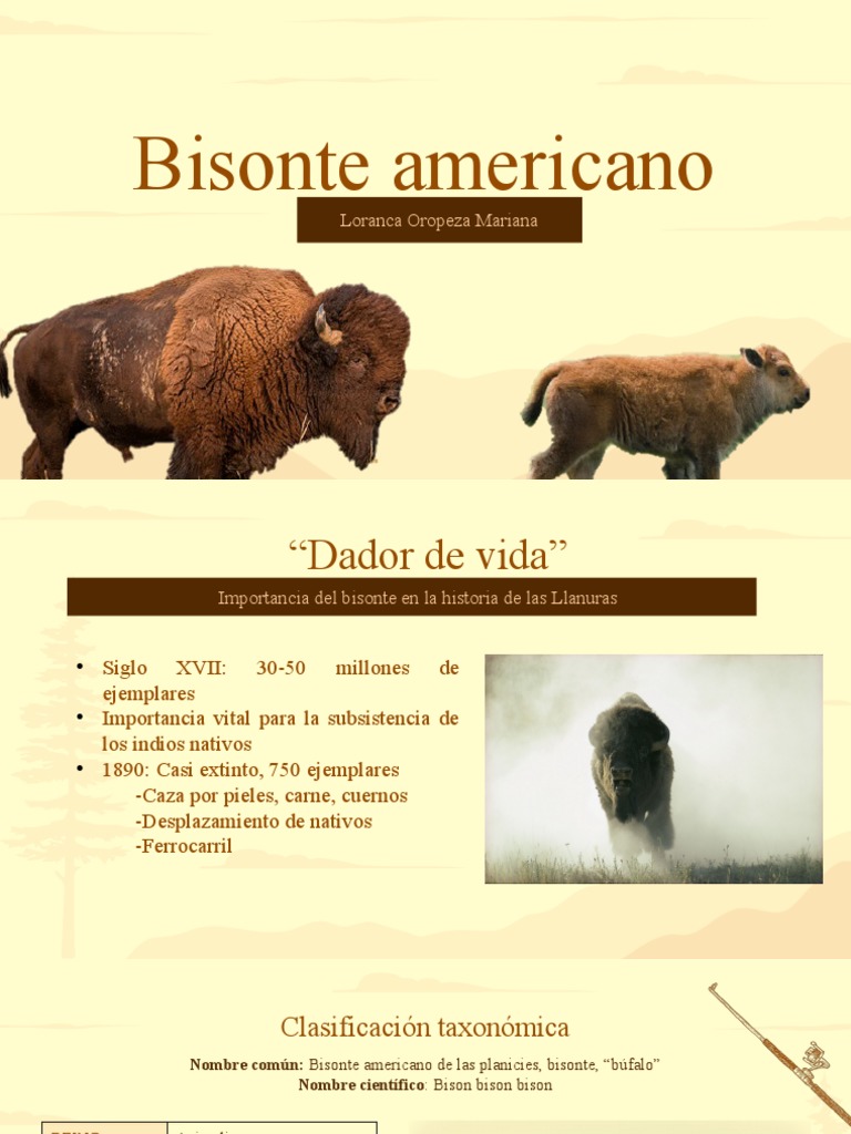 Bisonte Americano: Loranca Oropeza Mariana | PDF | Bisonte americano ...