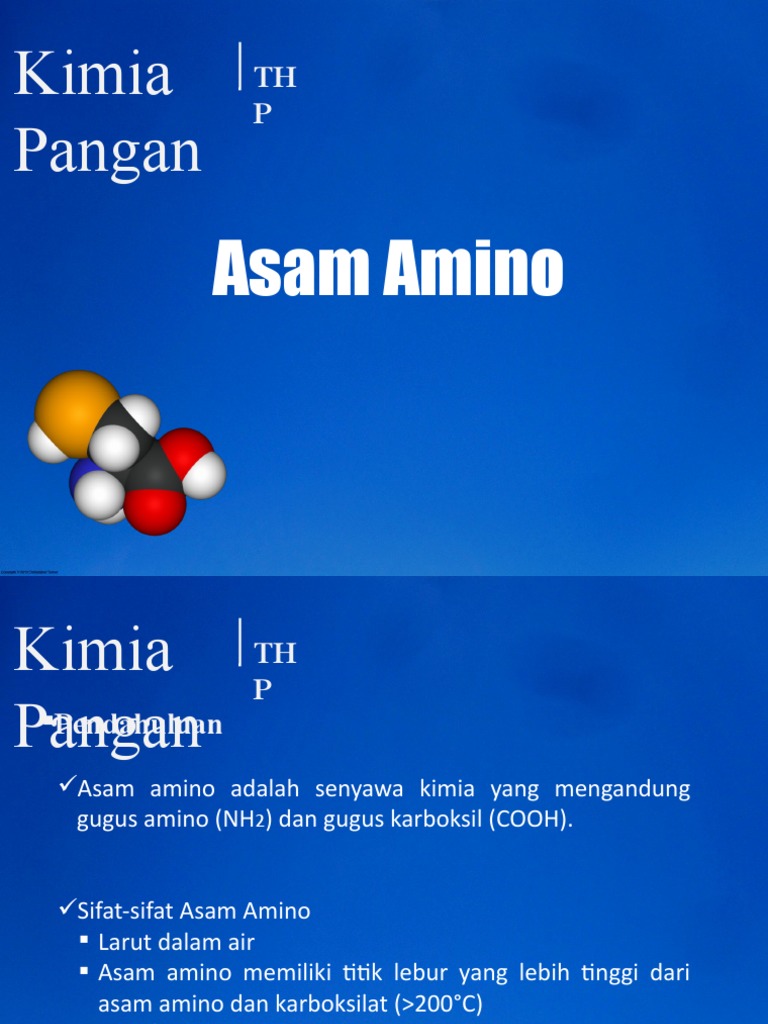 Struktur Dasar Asam amino | PDF