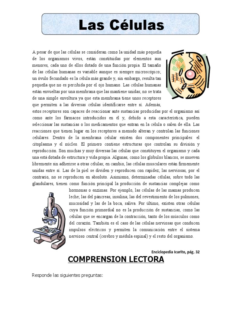 Las Células: Comprension Lectora | PDF | Biología Celular) | Organismos