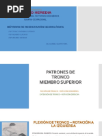 Escala de Lovett | PDF | Músculo esquelético | Contracción muscular