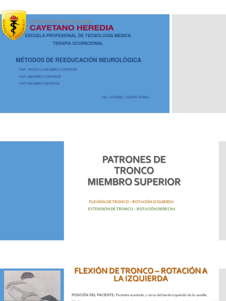 FNP Tronco, MIEMBRO SSUPERIOR E INFERIOR - UPCH | PDF | Mano | Codo