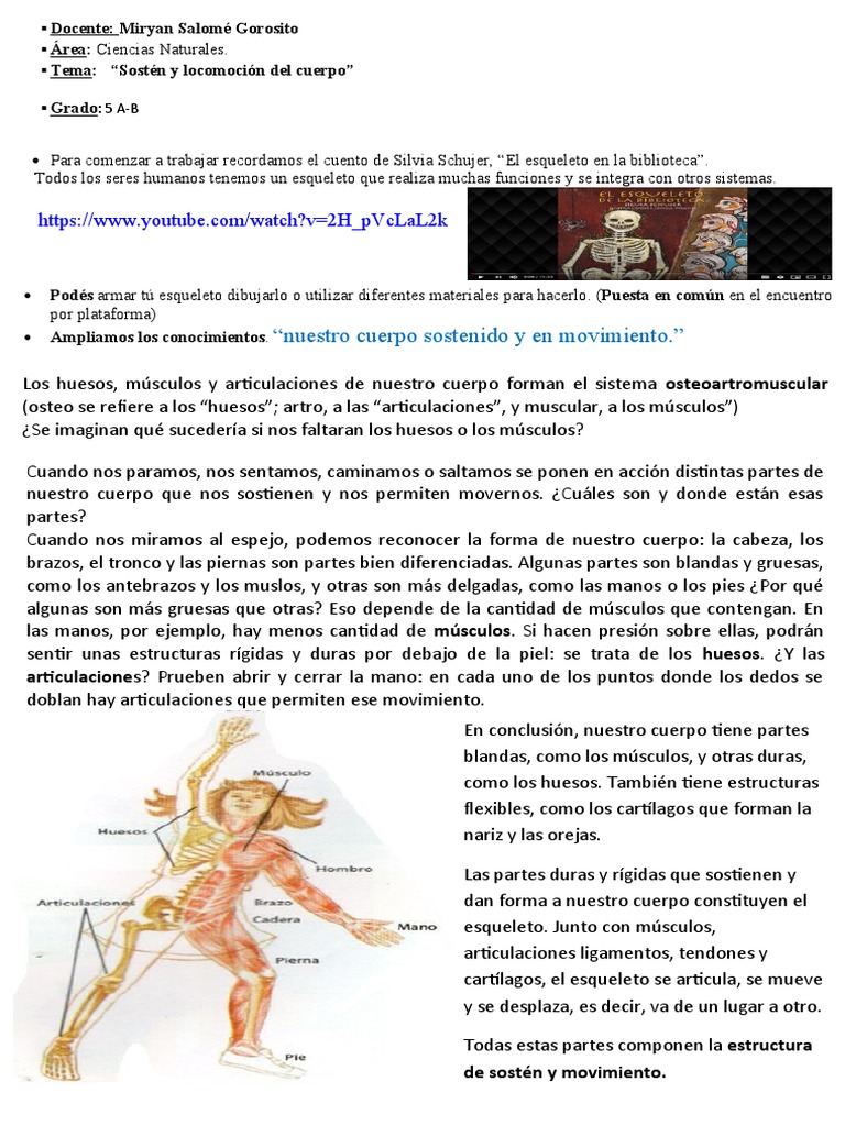 5 Grado Sistema Oseo Artro Muscular Pdf Articulación Esqueleto
