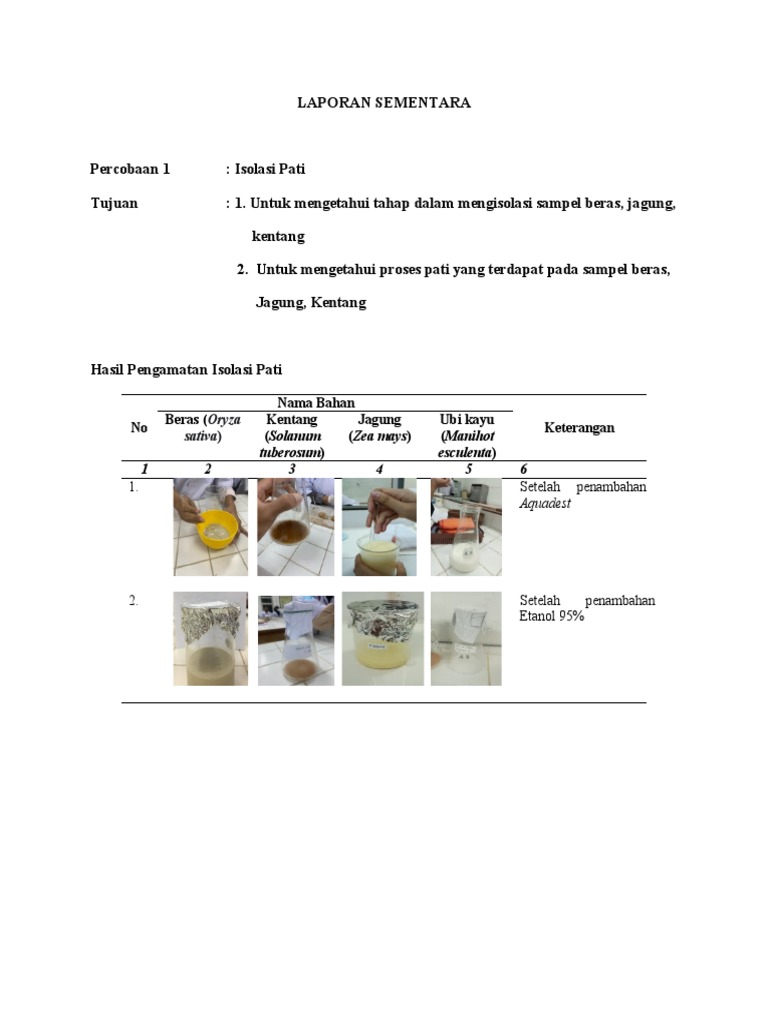 Laporan Sementara | PDF