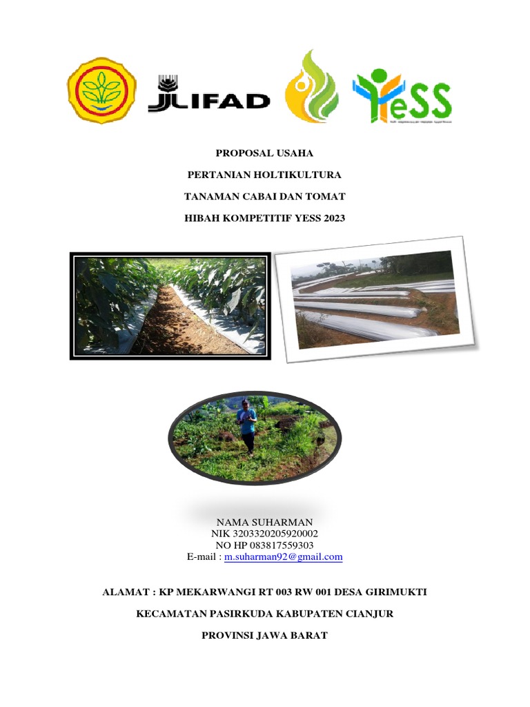 Proposal Usaha Pertanian Holtikultura Tanaman Cabai Dan Tomat Hibah ...