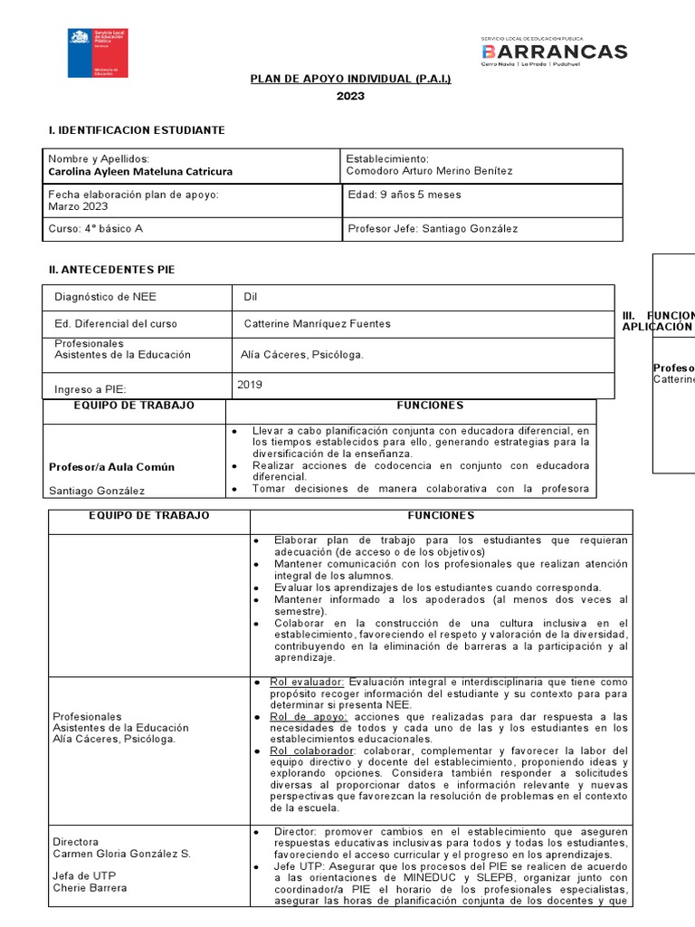 Ejemplo de Plan de Apoyo Individual (PAI) | PDF | Evaluación | Salón de ...