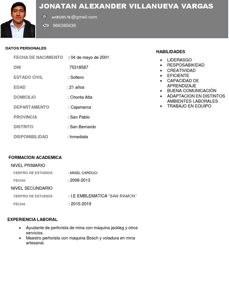 CV, Alex Vargas | PDF