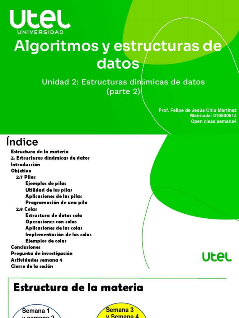 Algoritmos y Estructuras de Datos | PDF