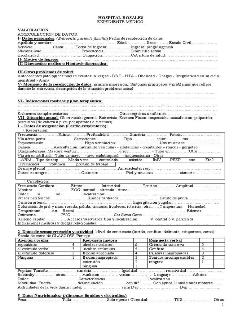 Valoracion PAE Enfermeria | PDF | Enfermedades y trastornos | Medicina