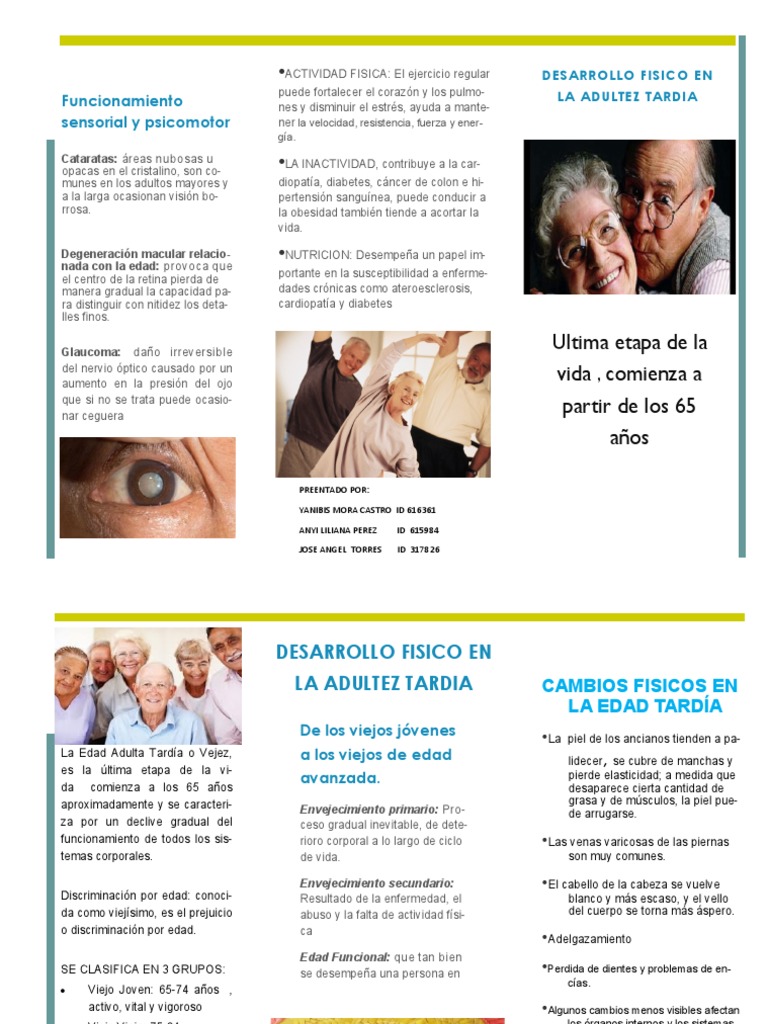 Folleto Adultez | PDF | Adultos | Vejez