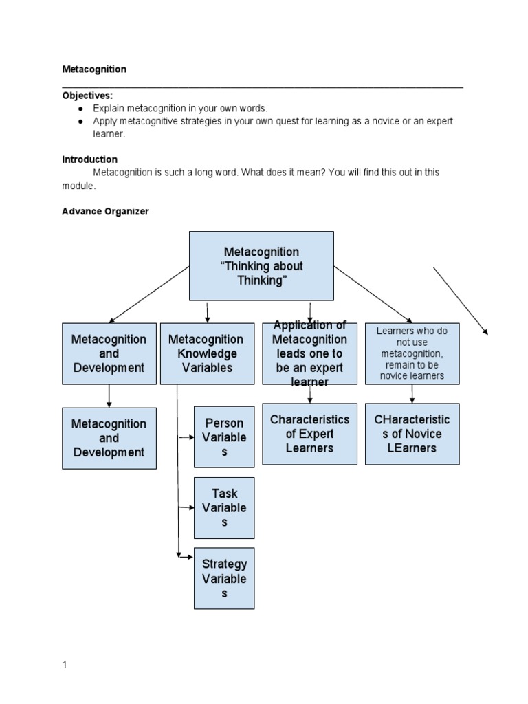 Metacognition | PDF | Metacognition | Learning