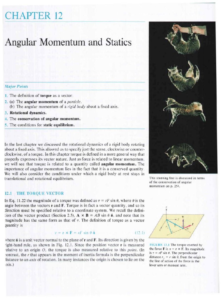 Chapter 12【angular Momentum And Statics】 Pdf Rotation Around A Fixed Axis Angular Momentum