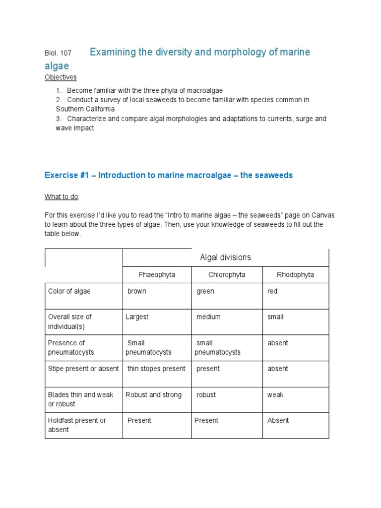 BIO 107-Algae Lab | PDF