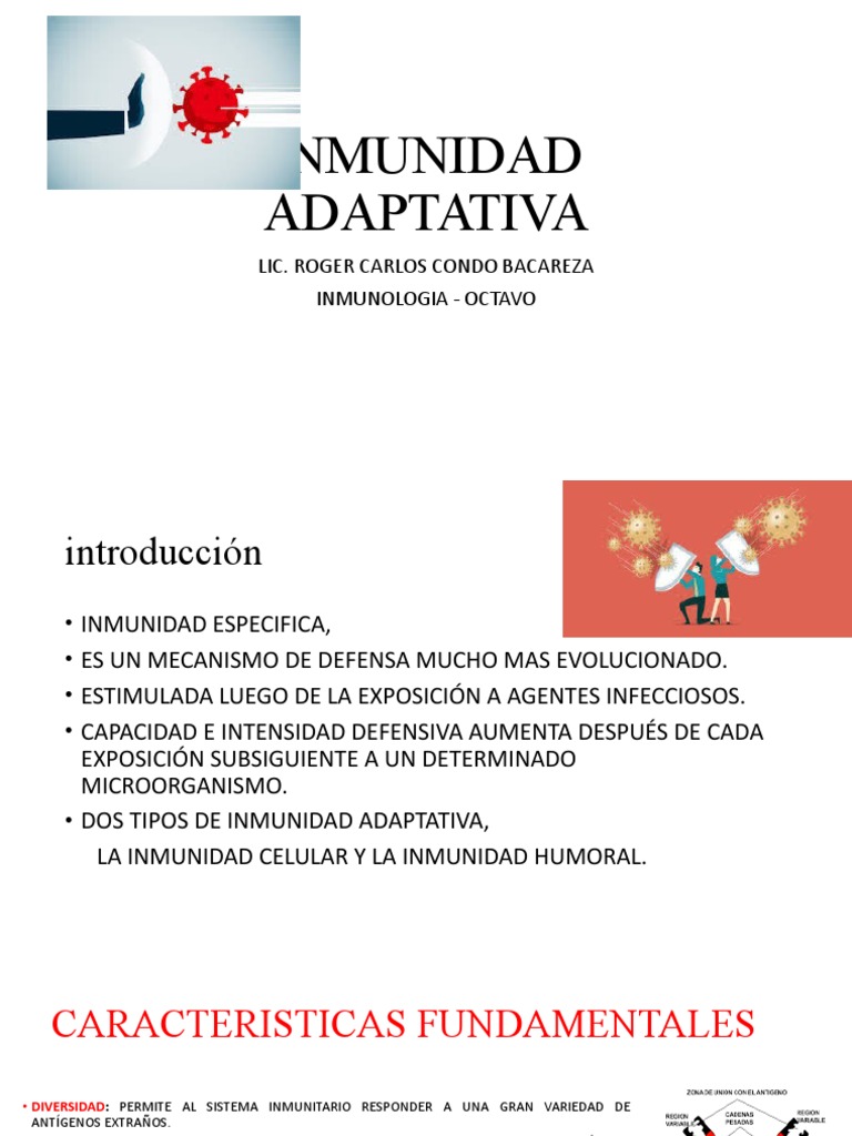 Inmunidad Adaptativa | PDF | Célula T | Sistema complementario