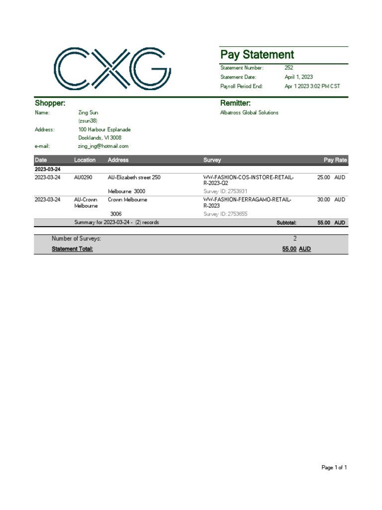 Pay Statement: Shopper: Remitter | PDF