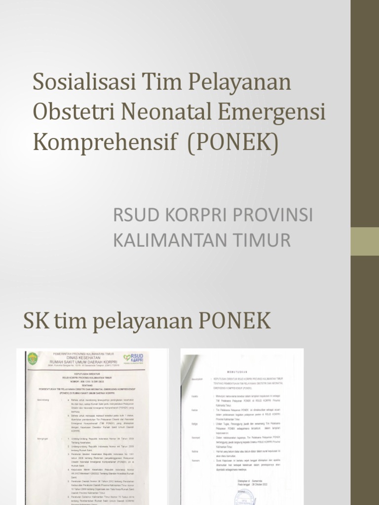 Sosialisasi Tim Pelayanan Obstetri Neonatal Emergensi Komprehensif ( | PDF | Pengembangan Diri ...