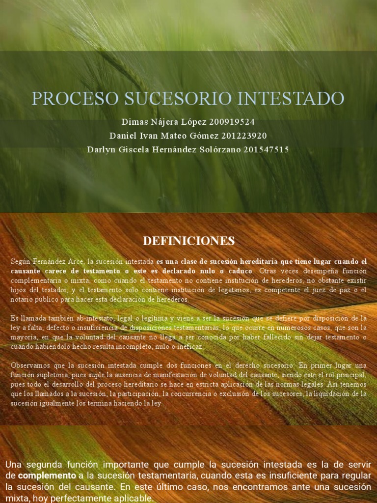Proceso Sucesorio Intestado | PDF | Intestacy | Ley de recursos naturales