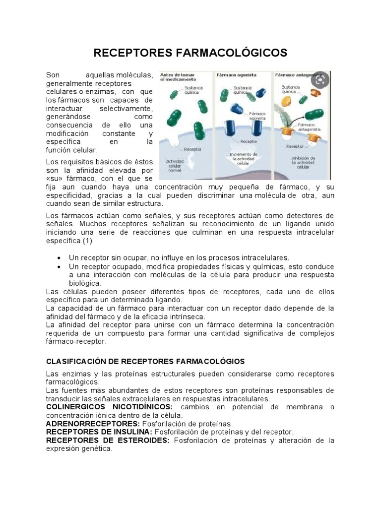 Receptores Farmacológicos | PDF | Bioquímica | Química