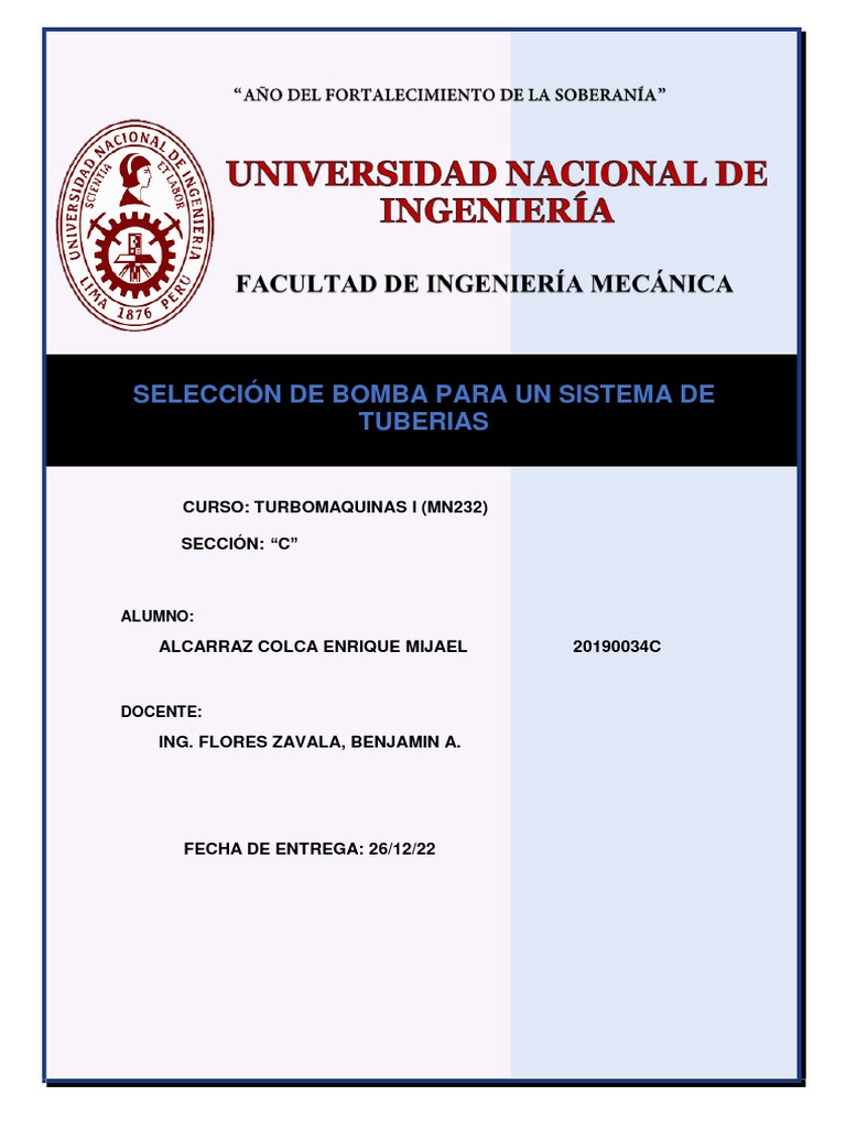 Selección de Bomba para Un Sistema de Tuberias | Descargar gratis PDF | Presión | Bomba