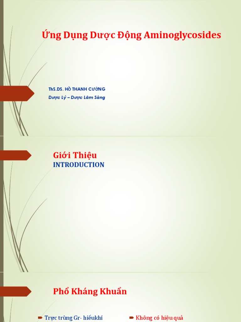 NG D NG Dư C Đ NG Aminoglycosides | PDF