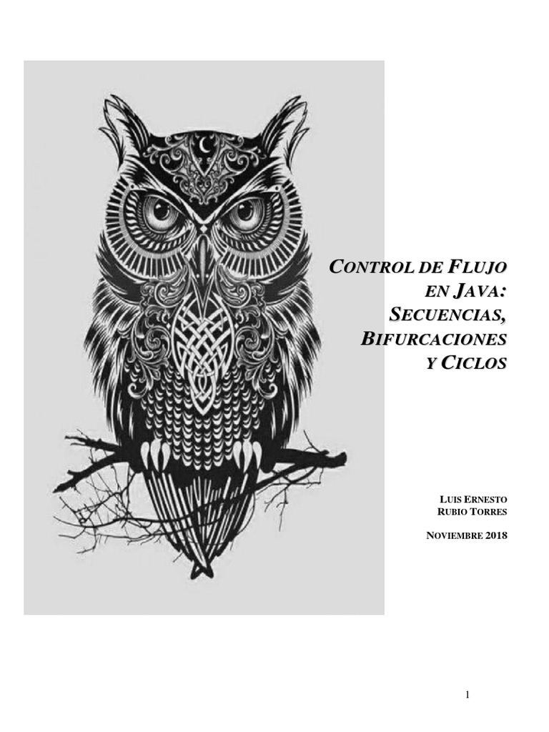 Control de Flujo en Java | PDF | Java (lenguaje de programación) | Flujo de control