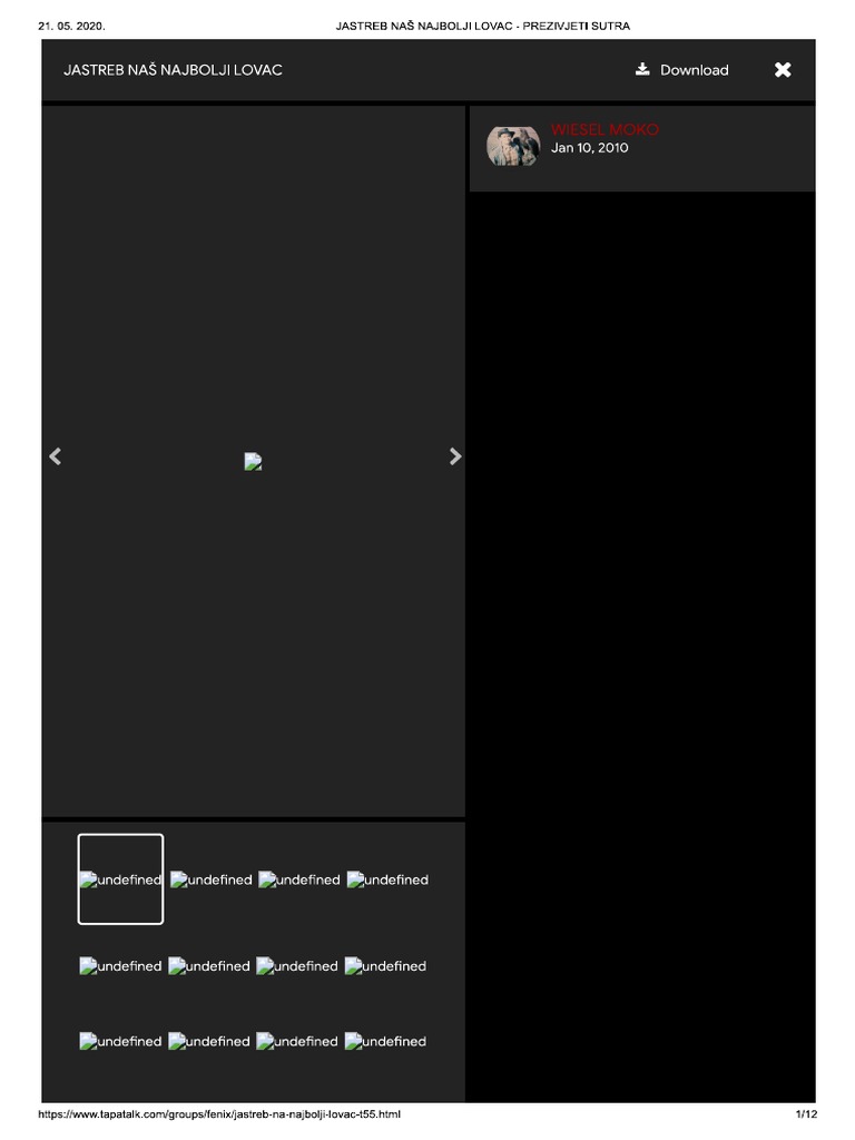 Jastreb Naš Najbolji Lovac - Prezivjeti Sutra | PDF