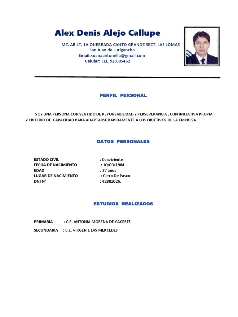 CV Alex Denis Alejo | PDF