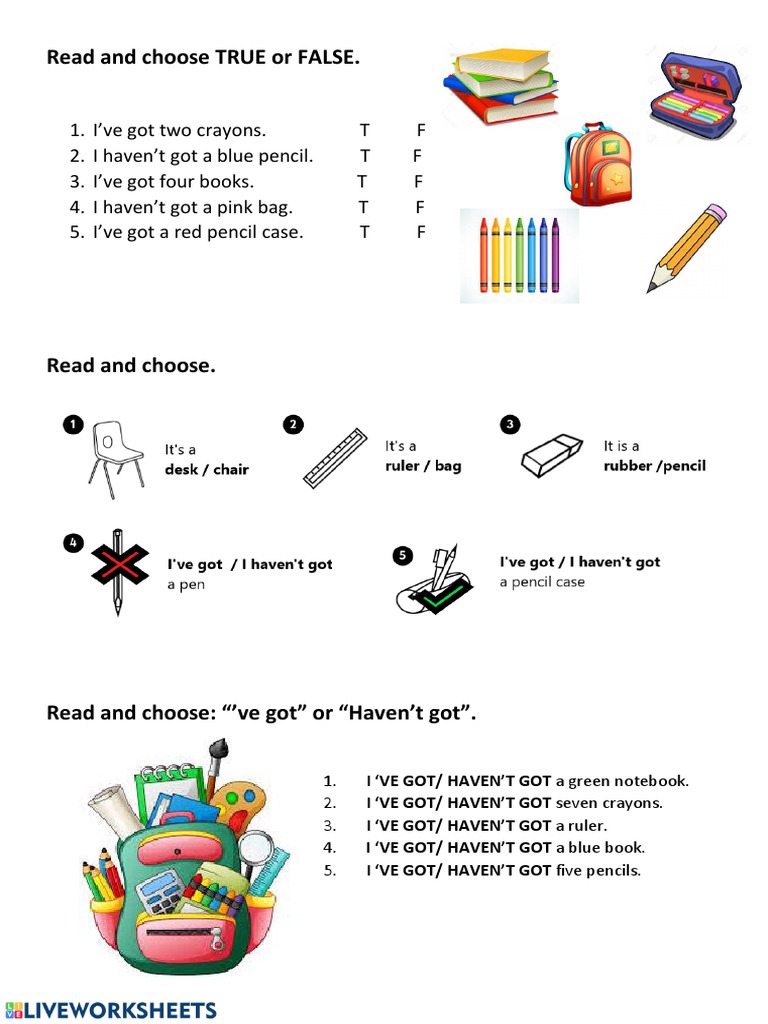 School Objects True or False Worksheet | PDF