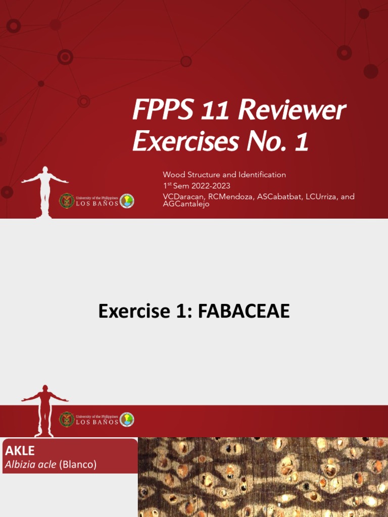 FPPS 11 Lab - Exer 1 Reviewer | PDF