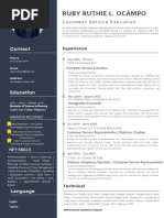 Mohsin khan-CV - PDF Ok | PDF