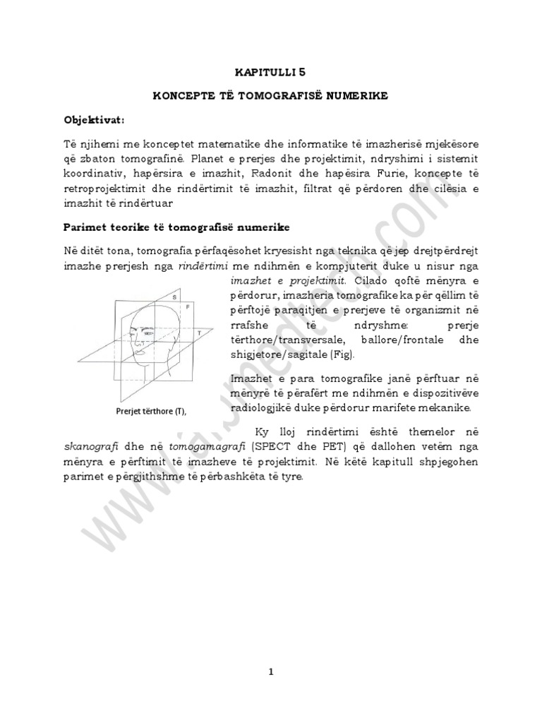 Tomografia Numerike | PDF
