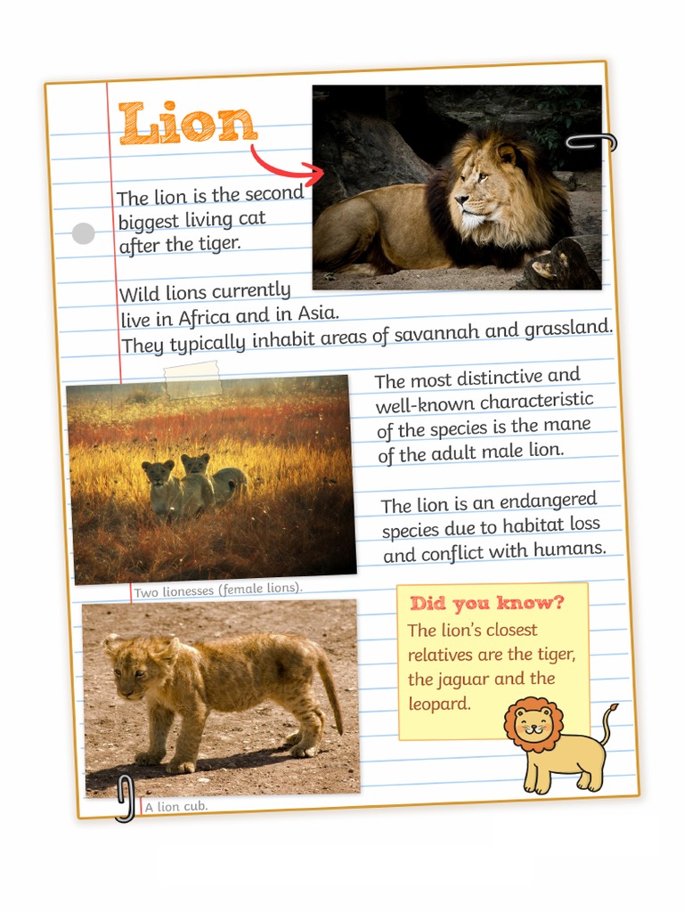 Safari Animal Fact File | PDF