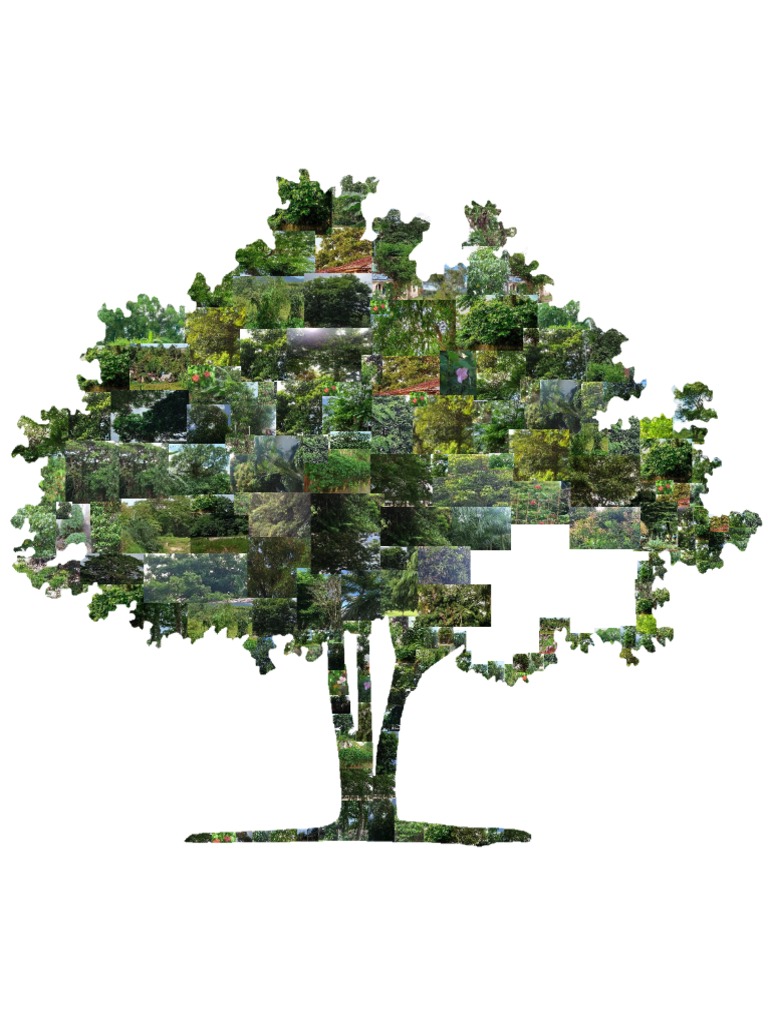 COLLAGE TREES | PDF